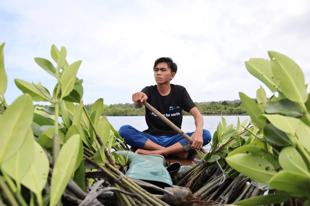 What is the role of the IC-VCM? - ClimeCo