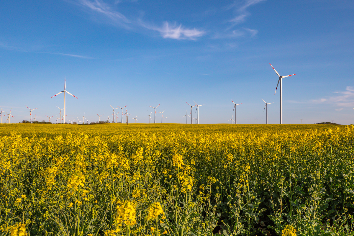 Greenhushing: When Companies Stay Silent on Sustainability - ClimeCo